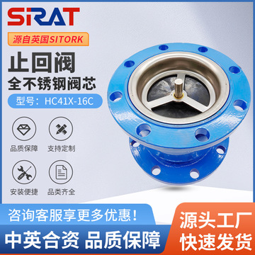 HC41X-16不锈钢芯不锈钢杆法兰消声止回阀单向逆止阀DN80 100 150-阿里巴巴