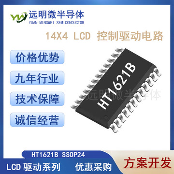 全新现货 HT1621 HT1621B LCD驱动芯片 贴片SSOP24 TM1621 CS1621-阿里巴巴