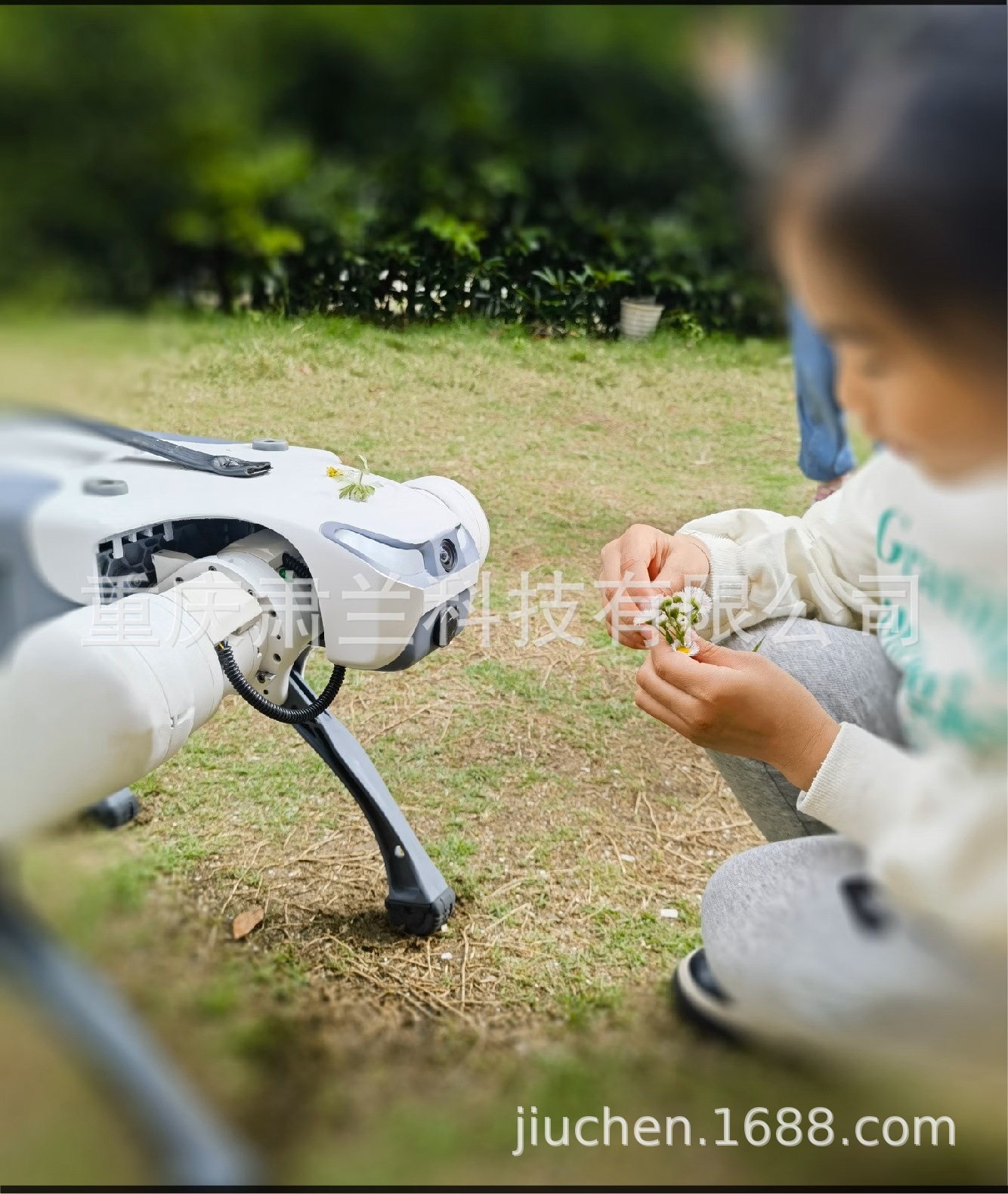 云深处绝影Lite3智能四足仿生电子机器狗教育科研AI语音自主巡逻-阿里巴巴