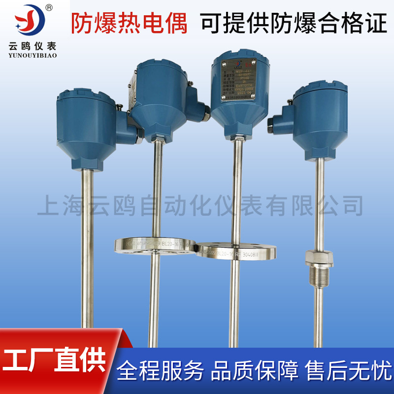 Explosion-proof thermocouple explosion-proof intrinsically safe double WRNK armored probe K ...