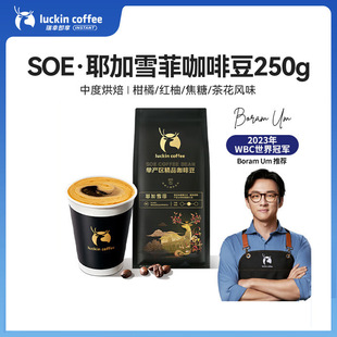 瑞幸SOE耶加雪菲单产区咖啡豆手磨黑咖啡250克/袋中度烘焙-阿里巴巴