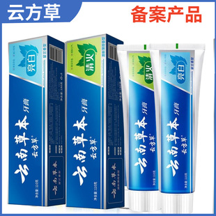 云南本草清火亮白180克家庭装牙膏 留兰薄荷 公香型司特卖场超市-阿里巴巴