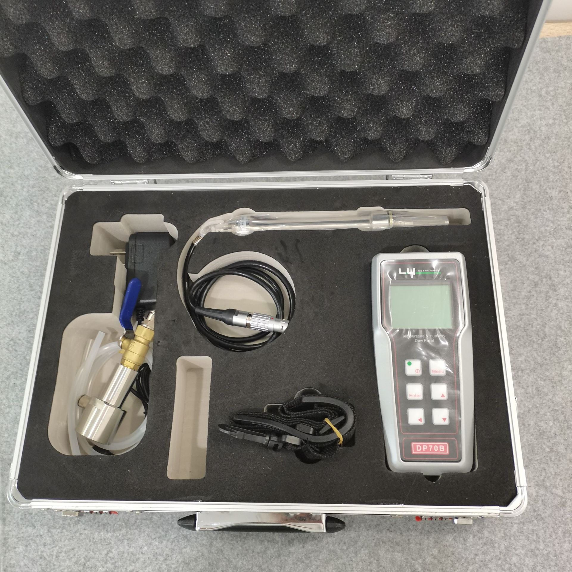 瑞士ROTRONIC罗卓尼克DP70B便携式露点仪手提式露点水分检测仪-阿里巴巴