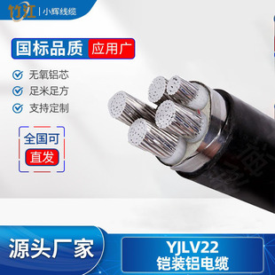 国标ZR-YJLV22阻燃铠装铝芯电缆185/240/300平方12345芯低压电力-阿里巴巴
