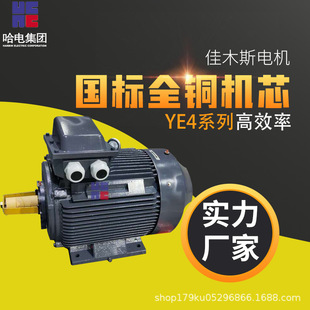 佳木斯电机YE4系列高效率三相异步电动机（H80～H355）0.18kw-阿里巴巴