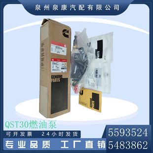 原厂QST30燃油泵 矿山挖机大型机械5593524 5483862燃油输送泵-阿里巴巴