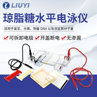 北京六一 琼脂糖水平电泳仪DYCP-31DN/CN实验室蛋白凝胶电泳槽-阿里巴巴