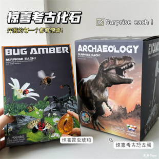 跨境恐龙考古挖掘玩具超大恐龙蛋昆虫琥珀化石盲盒手工挖宝玩具-阿里巴巴