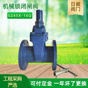 定制锁闭闸阀 SZ45X-16Q 防盗防护加密闸阀 磁性锁闭软密封闸阀-阿里巴巴