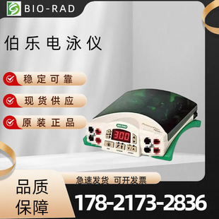 伯乐电泳仪小型垂直水平电泳槽转印槽蛋白槽伯乐Biorad电泳垒德株-阿里巴巴