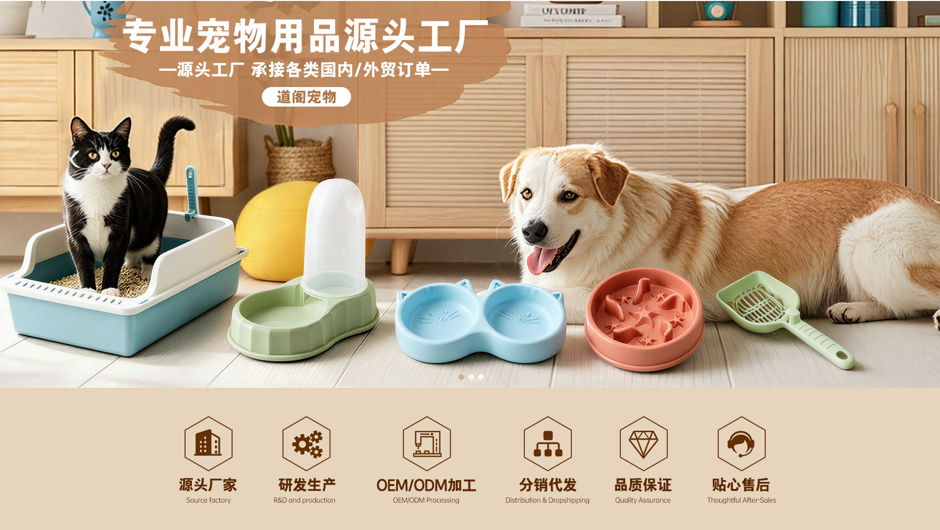 首页