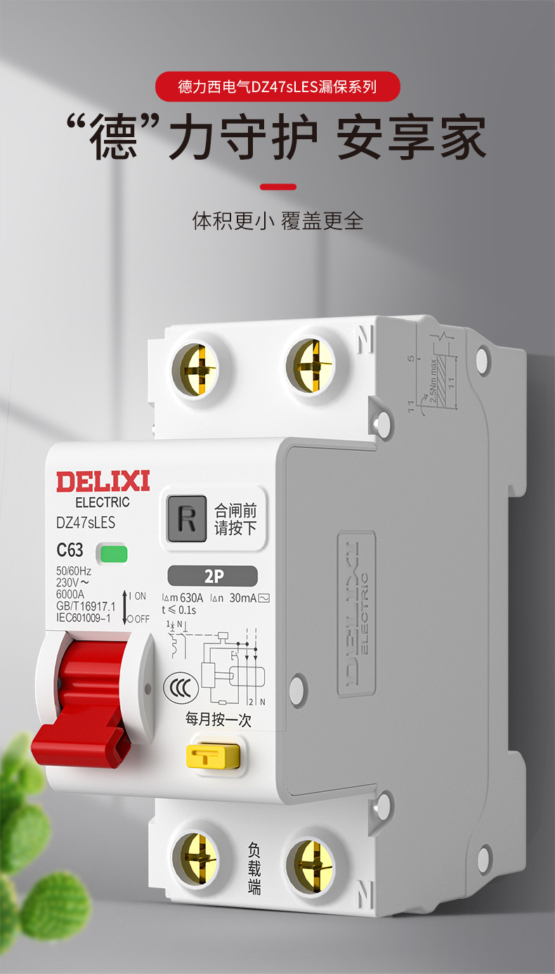 德力西漏电保护开关家用63A小型断路器DZ47sLES新款2P空开带漏保-阿里巴巴