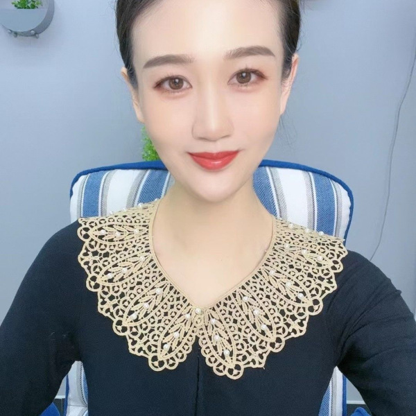 Hollow lace dickey collar bluses tops shirt neck decoration false ...