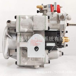 PT喷油泵4951501 3019487和3059658和 4076954和 3052770 3264370-阿里巴巴