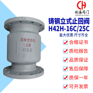 立式铸钢止回阀 H42H-16C/25C 垂直瓣单向阀 WCB 高温法兰止逆阀-阿里巴巴