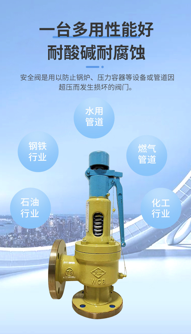 天正安全阀A48Y-16C/25C带手柄全启式蒸汽泄压弹簧式安全阀-阿里巴巴