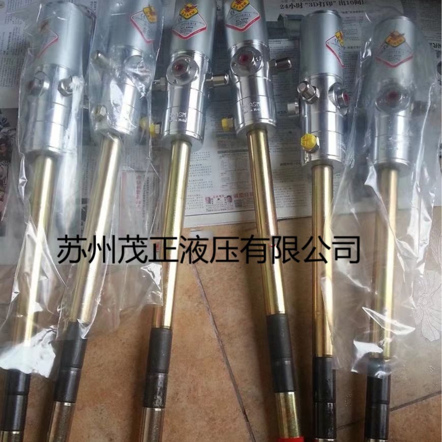 意大利RAASM气动泵-62095气动黄油泵/飞鹰高压磨煤机喷淋油气动泵-阿里巴巴
