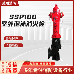厂家直供室外地上泡沫消火栓 SSP100/65-1.6 球磨铸铁材质泡沫栓-阿里巴巴