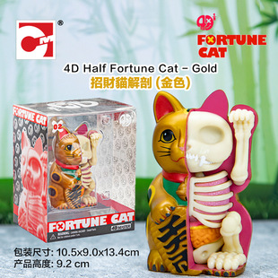 潮玩精品模型手办摆件集多美4D Master招财猫解剖（金色）629202-阿里巴巴