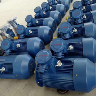 鸿泰隔爆三相异步电机 YB2-4001-8 160KW 6KV 高转矩能力 性能好-阿里巴巴