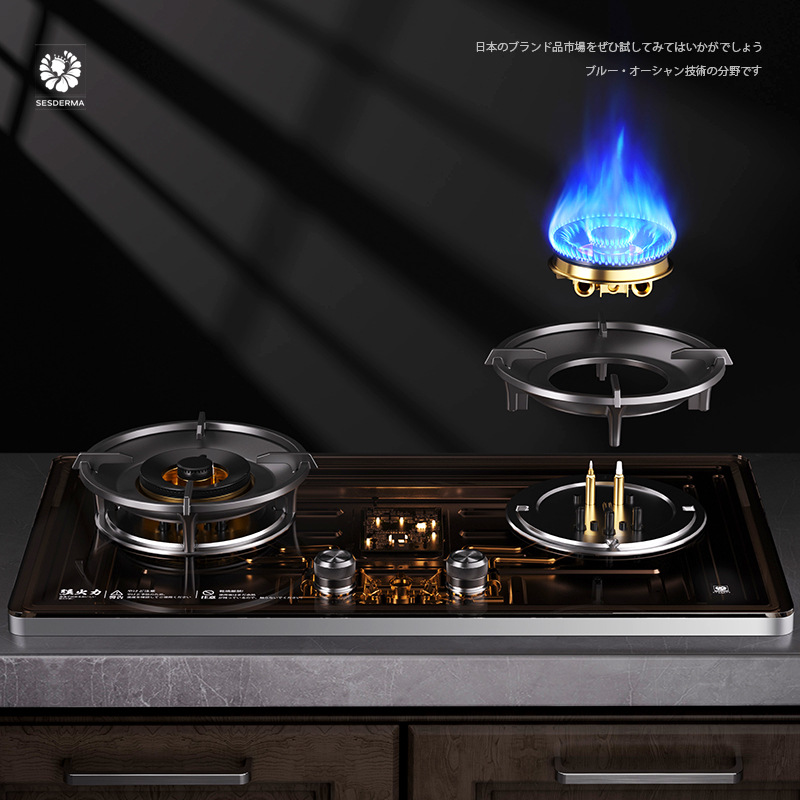 Japan Imported Gas Stove Double Stove Gas Stove Household Embedded ...