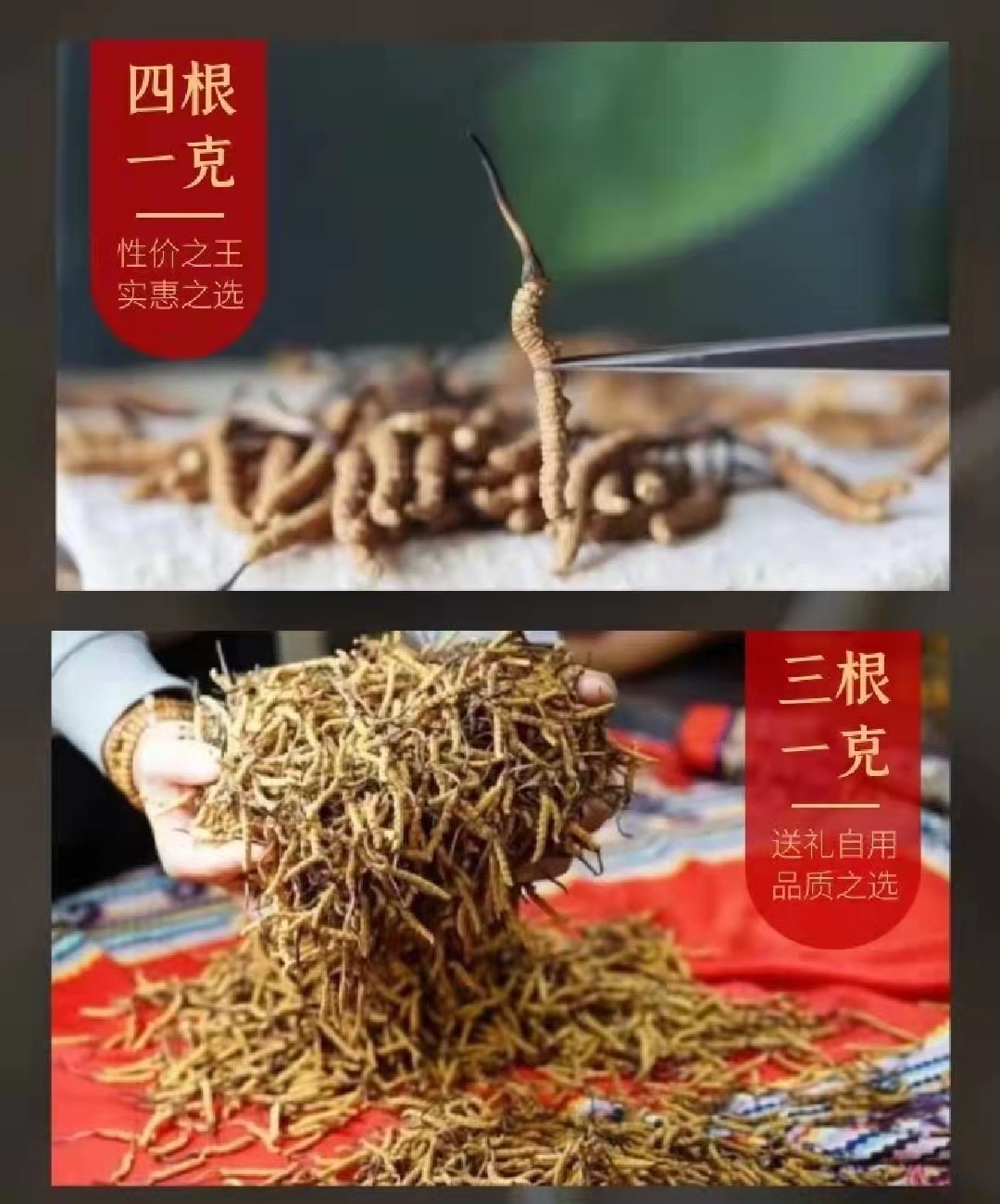2022那曲虫草正品特产高海拔好品质头期干货送礼批发西藏冬虫夏草-阿里巴巴