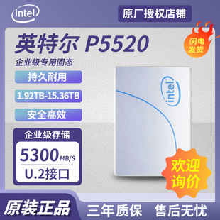 适用英特尔 P5520 1.92T/3.84T/15.36TB 企业级固态硬盘 U.2 接口-阿里巴巴