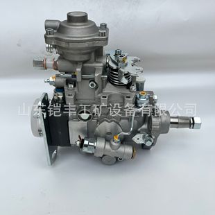 燃油泵0460426436喷油泵905200769018 VE6／12F1200R1075-阿里巴巴