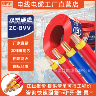 广东胜宇电缆国标BVV10/16/25/35/50/70平方双塑铜芯电线户外工厂-阿里巴巴
