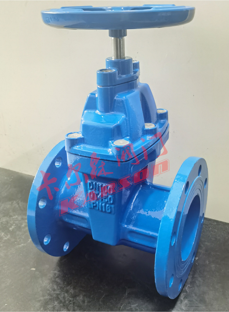 卡尔森Z45X-10/16Q法兰球墨铸铁dn100污水弹性座暗杆 软密封闸阀-阿里巴巴