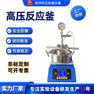 实验室磁力搅拌高压反应釜 TGYF-B系列304台式不锈钢反应釜-阿里巴巴