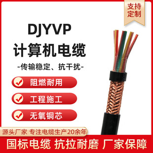 国标DJYVP计算机屏蔽电缆DJYPVP DJYPVRP阻燃信号线仪表控制电缆-阿里巴巴