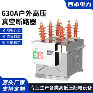 ZW8-12_630A户外高压真空断路器10KV柱上真空断路器ZW8-12G_630A-阿里巴巴