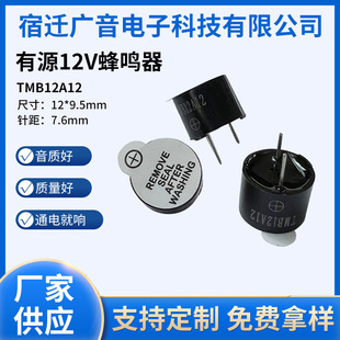 有源12V蜂鸣器12095 TMB12A12报警器高分贝蜂鸣器-阿里巴巴