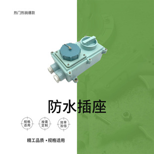 带锁开关插座IMPA 792772船用IEC标准双插座RSIL2-2防水蓝色-阿里巴巴