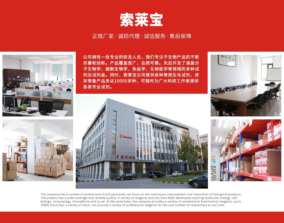 PC0020 BCA蛋白浓度测定试剂盒 索莱宝 蛋白测定 Solarbio-阿里巴巴