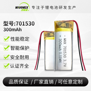 701530聚合物锂电池300mAh美容仪睫毛器电动成人玩具可充电锂电池-阿里巴巴