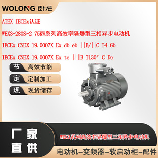 ATEX IECEx认证 WEX3-280S-2 75KW高效率隔爆型三相异步电动机-阿里巴巴