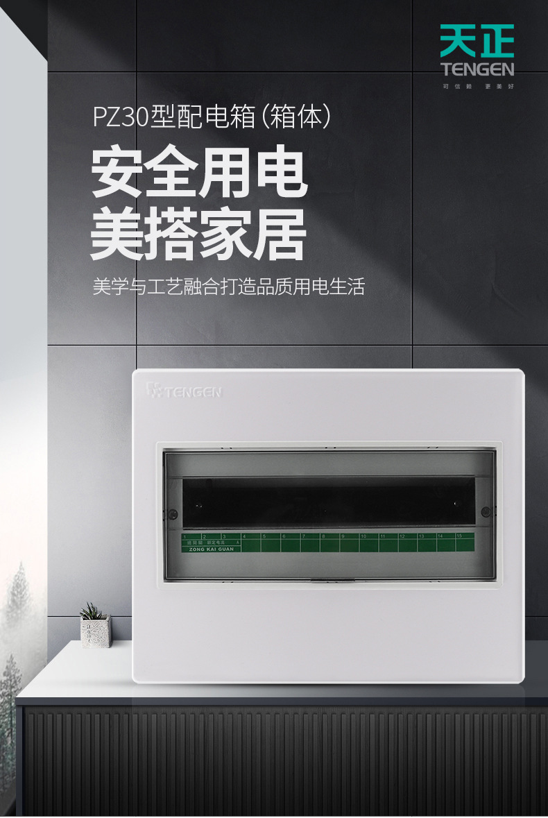 天正电气 PZ30配电箱-10 15 18 20 24回路暗装明装强电照明终端箱-阿里巴巴
