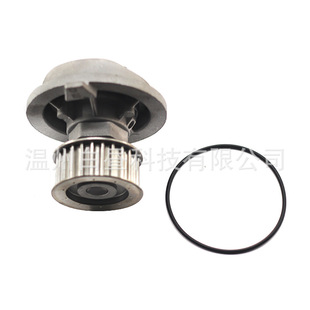 水泵 适用大宇 欧宝 24409355 90466343 92064250 92065969-阿里巴巴