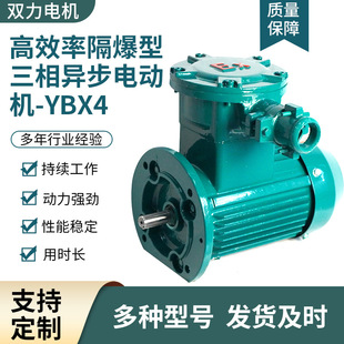 YBX4防爆电机 立卧式节能防爆三相异步电动机 粉尘防爆电机现货-阿里巴巴