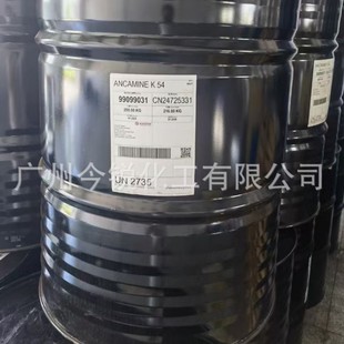 赢创化学K-54促进剂 Ancamine K54环氧固化剂可分装 K54催化剂-阿里巴巴