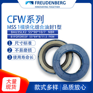 德国CFW油封BAU3SLX2尺寸55*90*10/7 B1FOFDRSSF 55*84*8/11.5-阿里巴巴