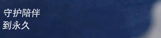 2025新款S999纯银锁骨项链女生轻奢小众设计高级感生日礼物送女友-阿里巴巴