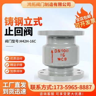 厂家直销铸钢法兰立式止回阀H42H-16C硬密封国标耐高温阀门DN80-阿里巴巴