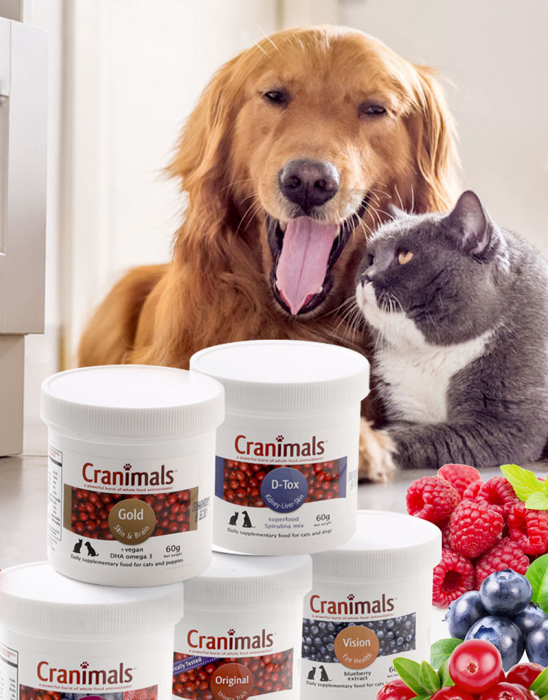 Cranimals克雷蒙蔓越莓粉猫狗泌尿系统肝肾保健保健品-阿里巴巴