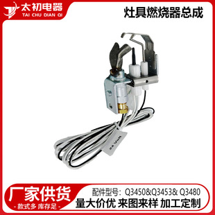 Q3450/Q3453/Q3480 智能阀系统先导燃烧器组件电锅炉点火器零配件-阿里巴巴