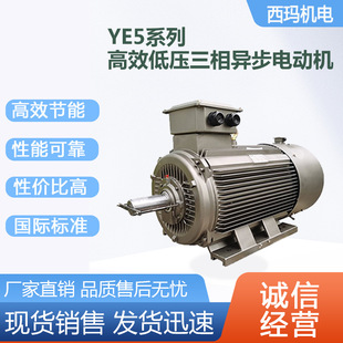 西安 西玛电机YE5-250M-2极55KW一级能效IE5交流三相异步电动机厂-阿里巴巴