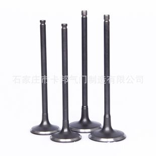 642188 642189 642190 642898 642899 642905 OPEL 进排气门-阿里巴巴