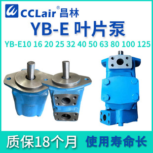 YB-E10液压6.3油泵12叶片泵16 20 YB-E25 32 YBE40 50 63 80 100-阿里巴巴